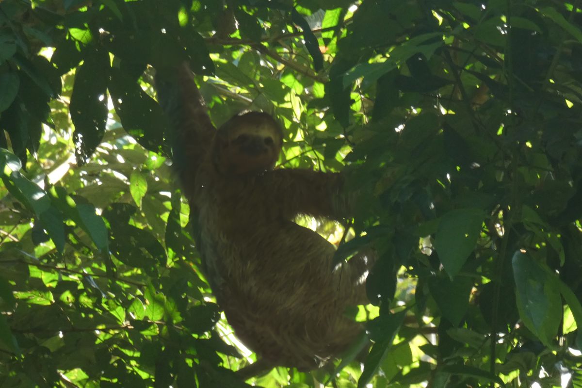 Planning A Trip To Costa Rica | Tucandream